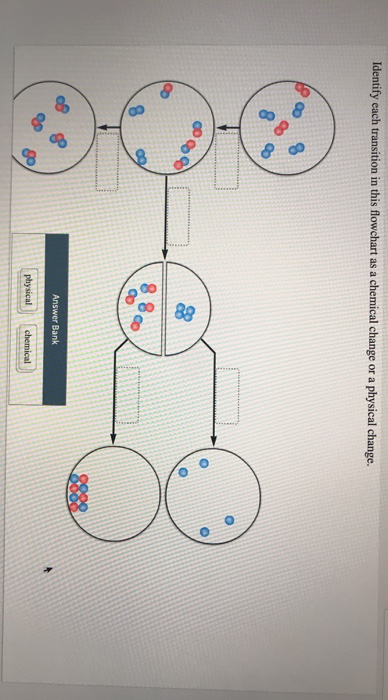 Solved Identify each transition in this flowchart as a | Chegg.com