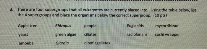 Solved 3. There are four supergroups that all eukaryotes are | Chegg.com
