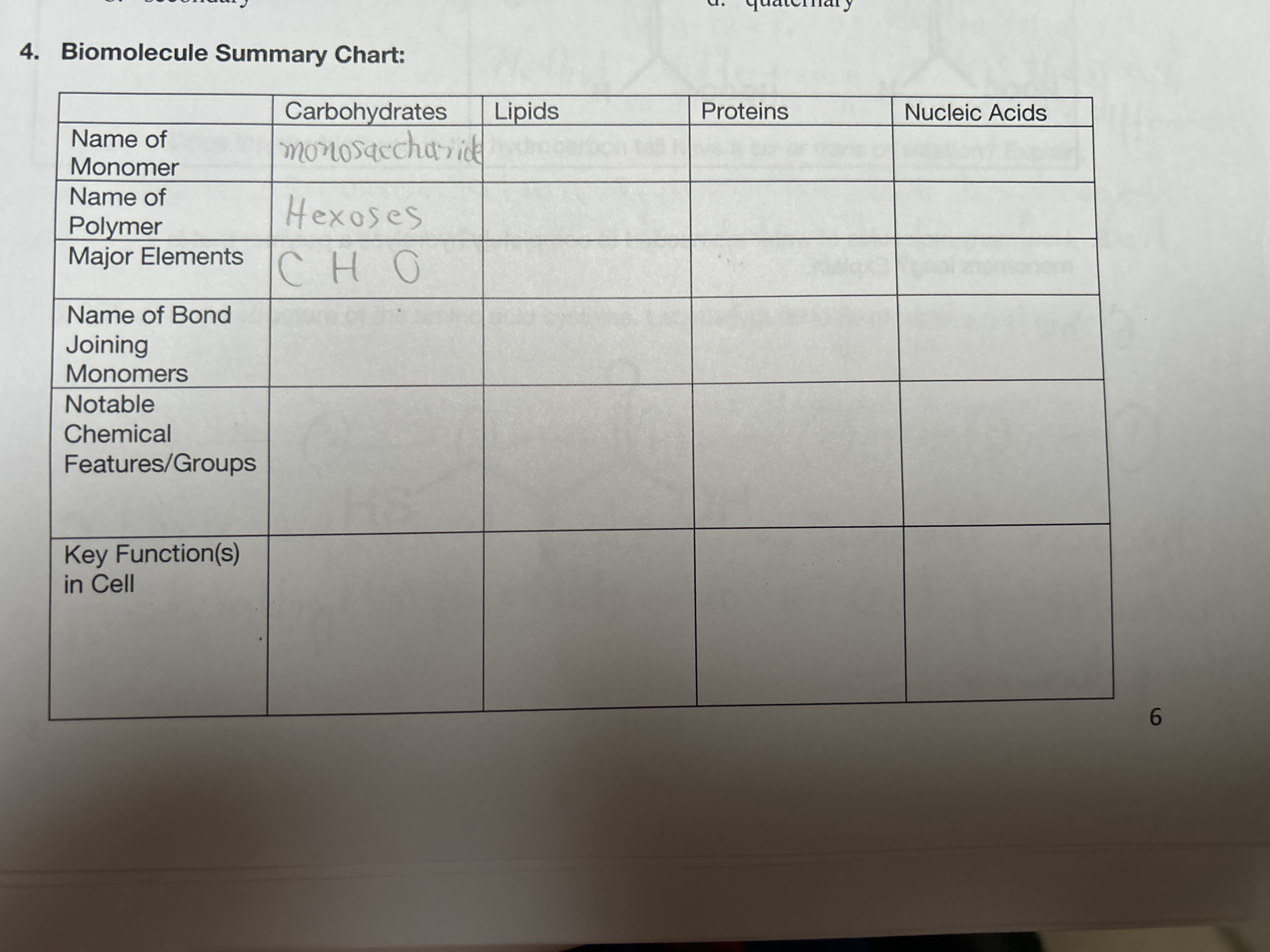 Solved Biomolecule Summary | Chegg.com