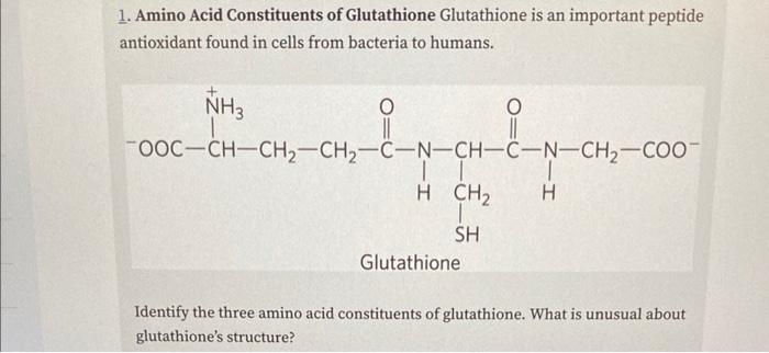 Solved 1. Amino Acid Constituents of Glutathione Glutathione | Chegg.com