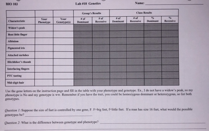Solved BIO 103 Lab #10 Genetics Name: Group's Results Class | Chegg.com