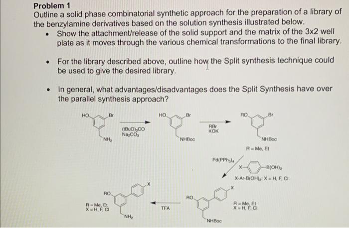 Solved Problem 1 Outline a solid phase combinatorial | Chegg.com