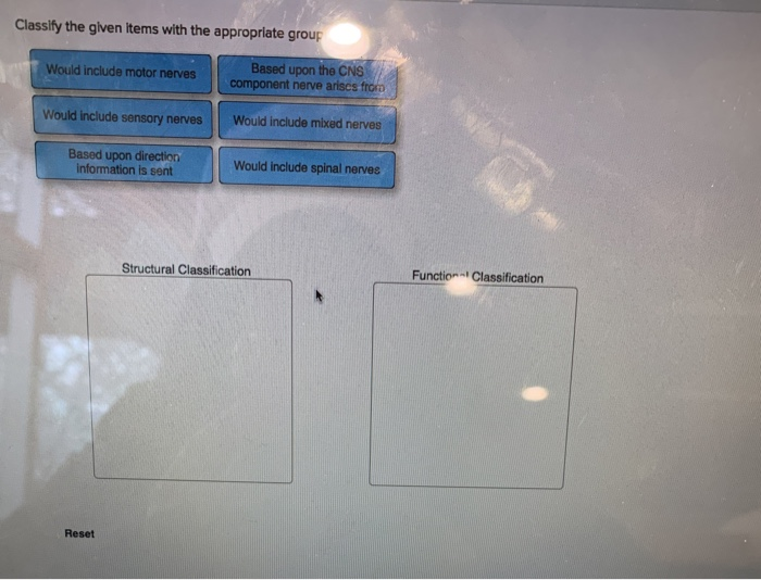 Classify the given items with the appropriate group | Chegg.com