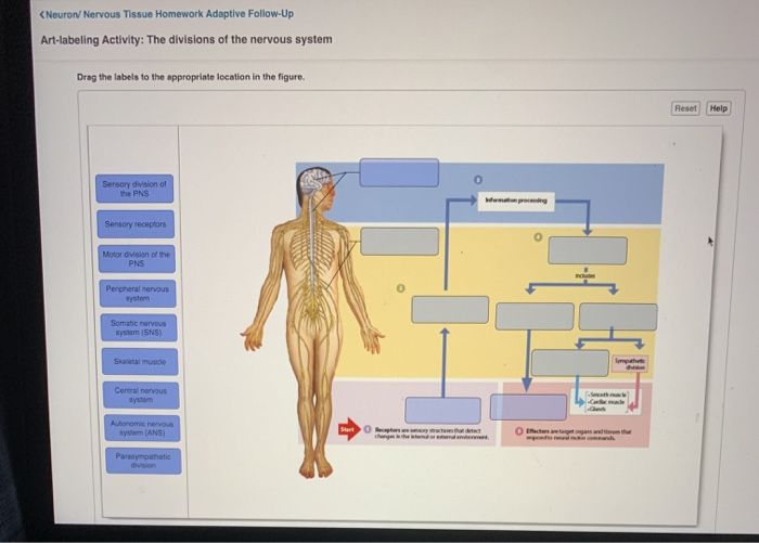 Solved Question | Chegg.com