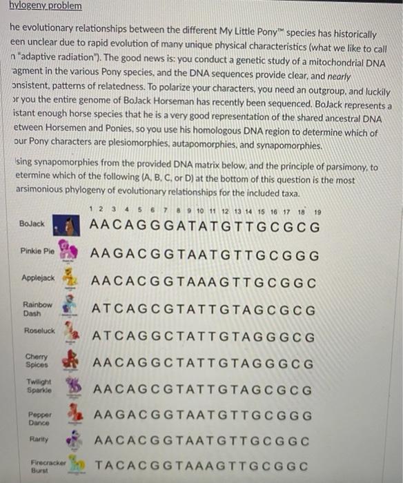 Solved hylogeny problem he evolutionary relationships | Chegg.com