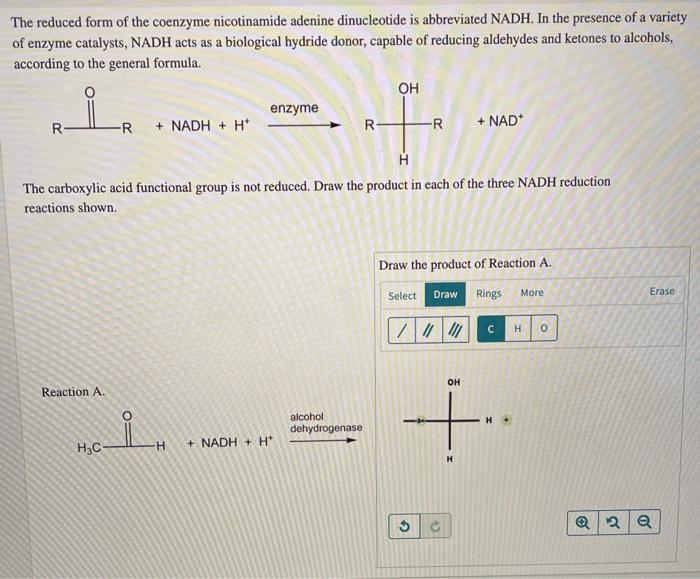 Solved The reduced form of the coenzyme nicotinamide adenine | Chegg.com