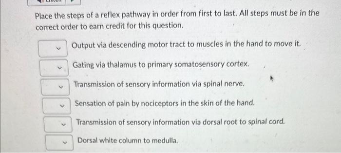 Solved Place the steps of a reflex pathway in order from | Chegg.com
