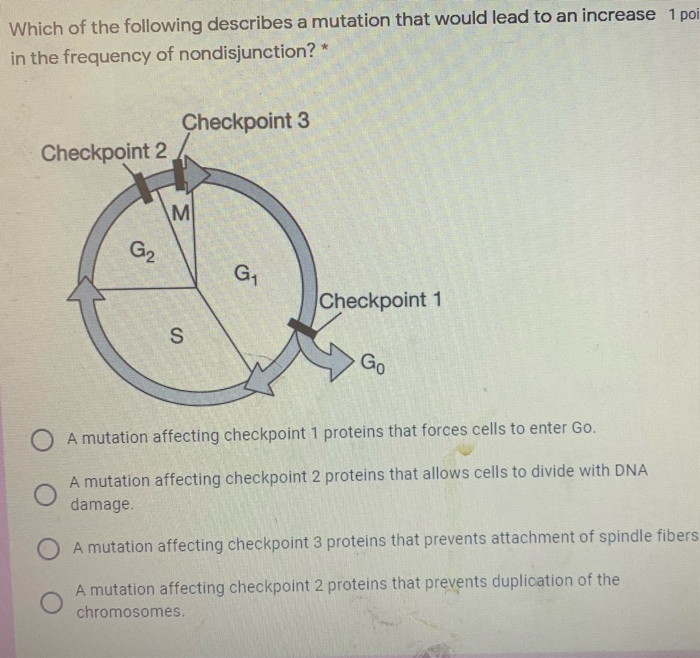 Solved Hi im having a hard time understanding this question | Chegg.com