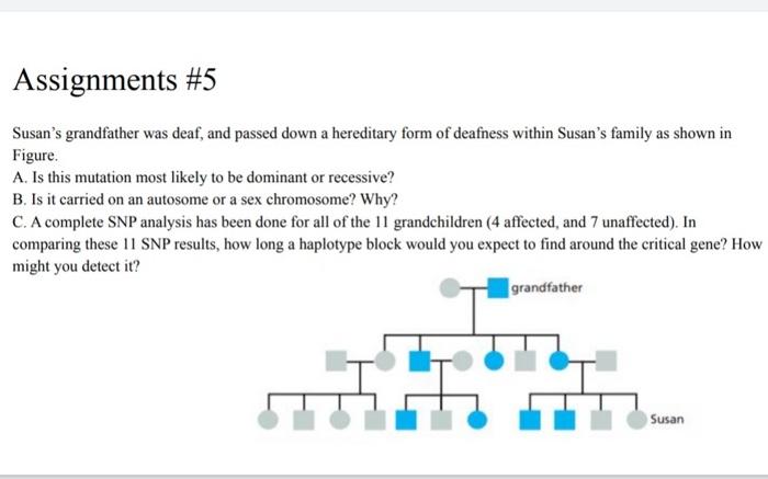 Solved Assignments \#1 Distinguish between the following | Chegg.com