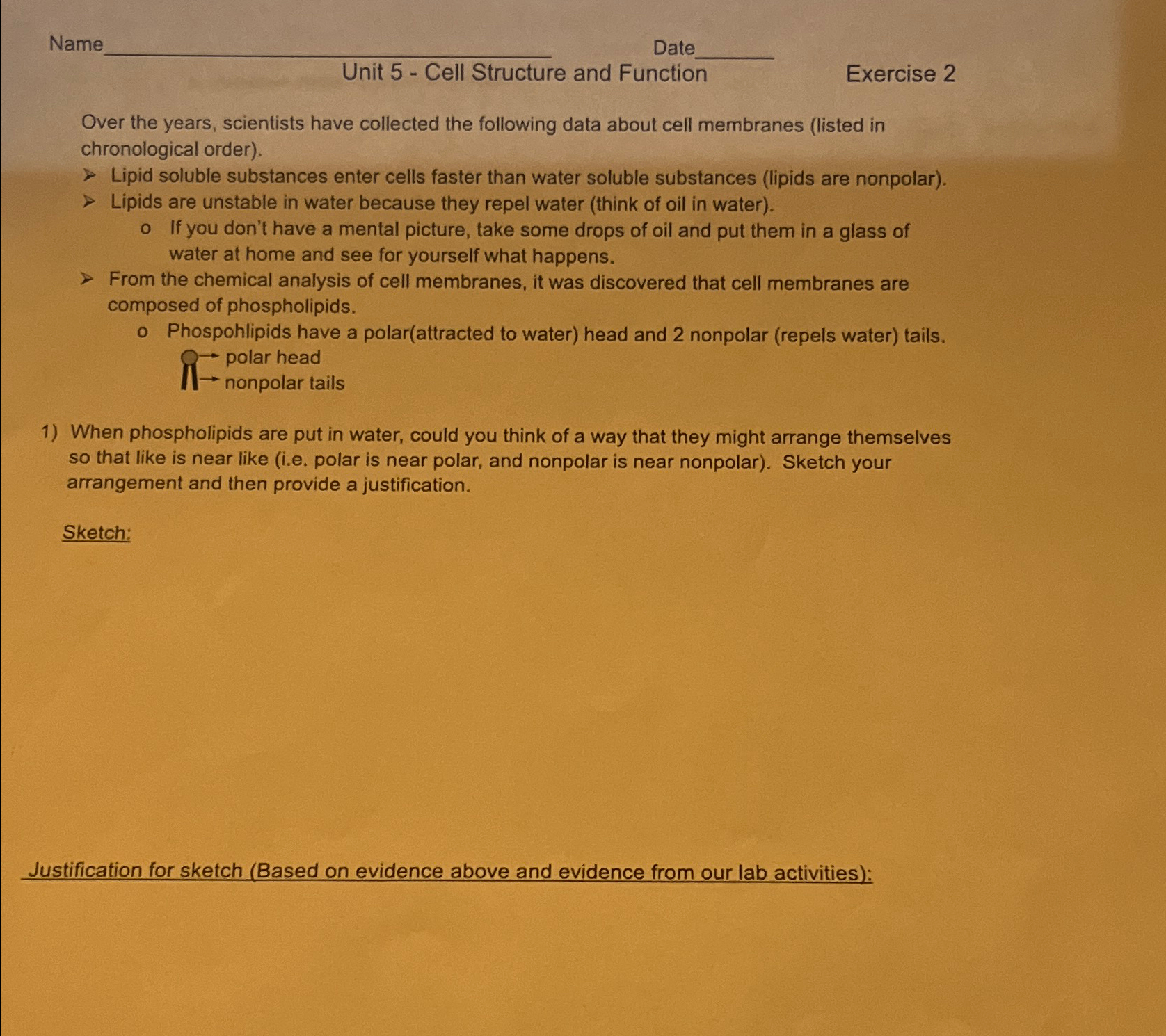Solved NameDateUnit 5 - ﻿Cell Structure and FunctionExercise | Chegg.com