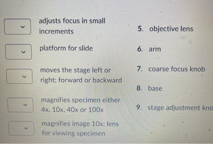 Solved Match each microscope part to its function below. | Chegg.com
