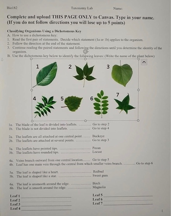 Bio182 Taxonomy Lab Name: Complete and upload THIS | Chegg.com