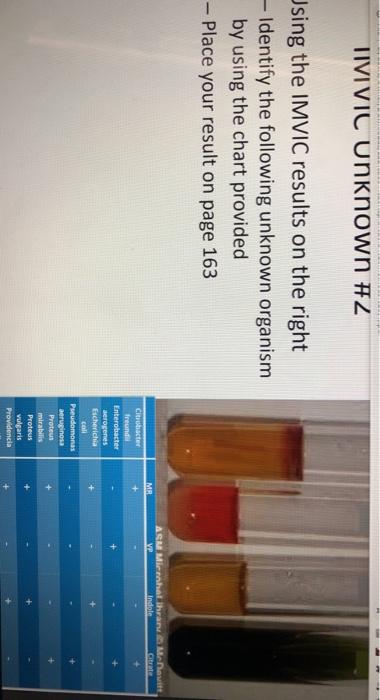 LABORATORY REPORT Rapid Identification Methods | Chegg.com
