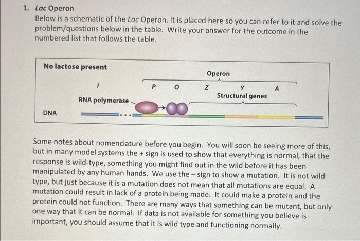Solved Lac Operon Below is a schematic of the Lac Operon. It | Chegg.com