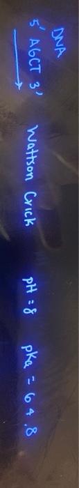 Solved DRAW: (only AGCT 5->3 end of DNA at a pH of 8)CHECK: | Chegg.com