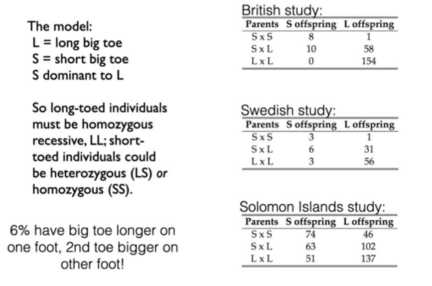 Solved How might you explain the differences in the | Chegg.com