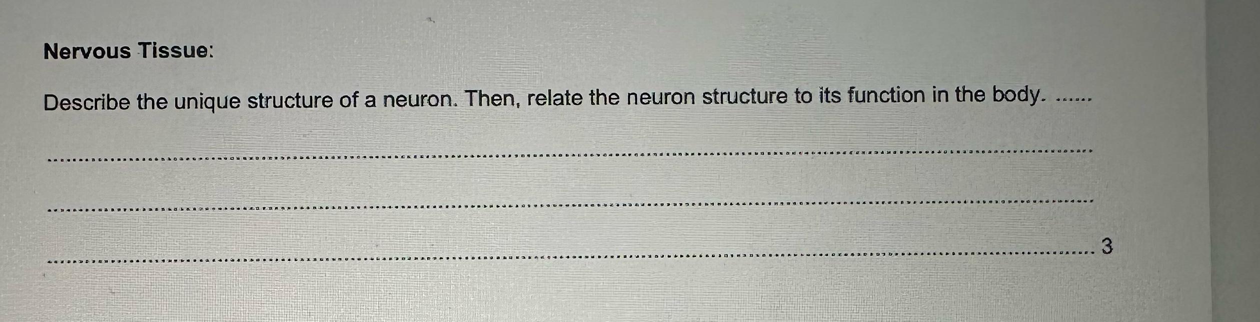 Solved Nervous Tissue:Describe the unique structure of a | Chegg.com