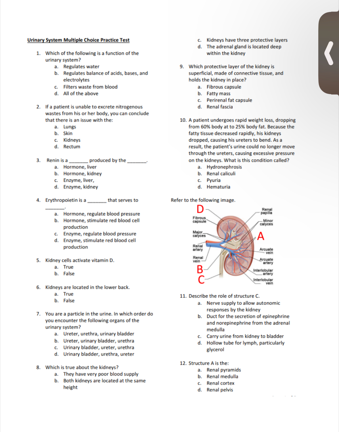 Solved Urinary System Multiple Choice Practice TestWhich of | Chegg.com