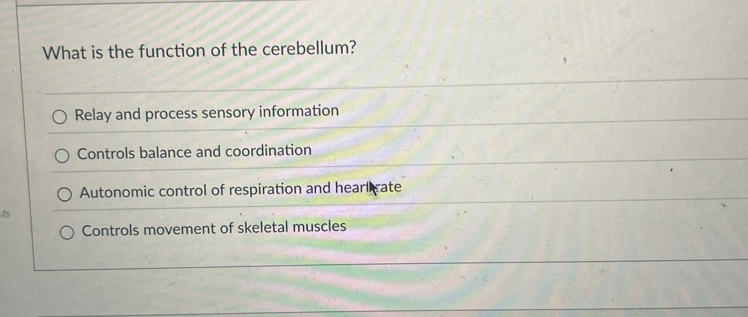 Solved What is the function of the cerebellum?Relay and | Chegg.com