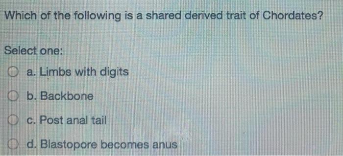Solved Which of the following is a shared derived trait of | Chegg.com