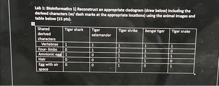 Solved to Lab 1: Bioinformatics 1) Reconstruct an | Chegg.com