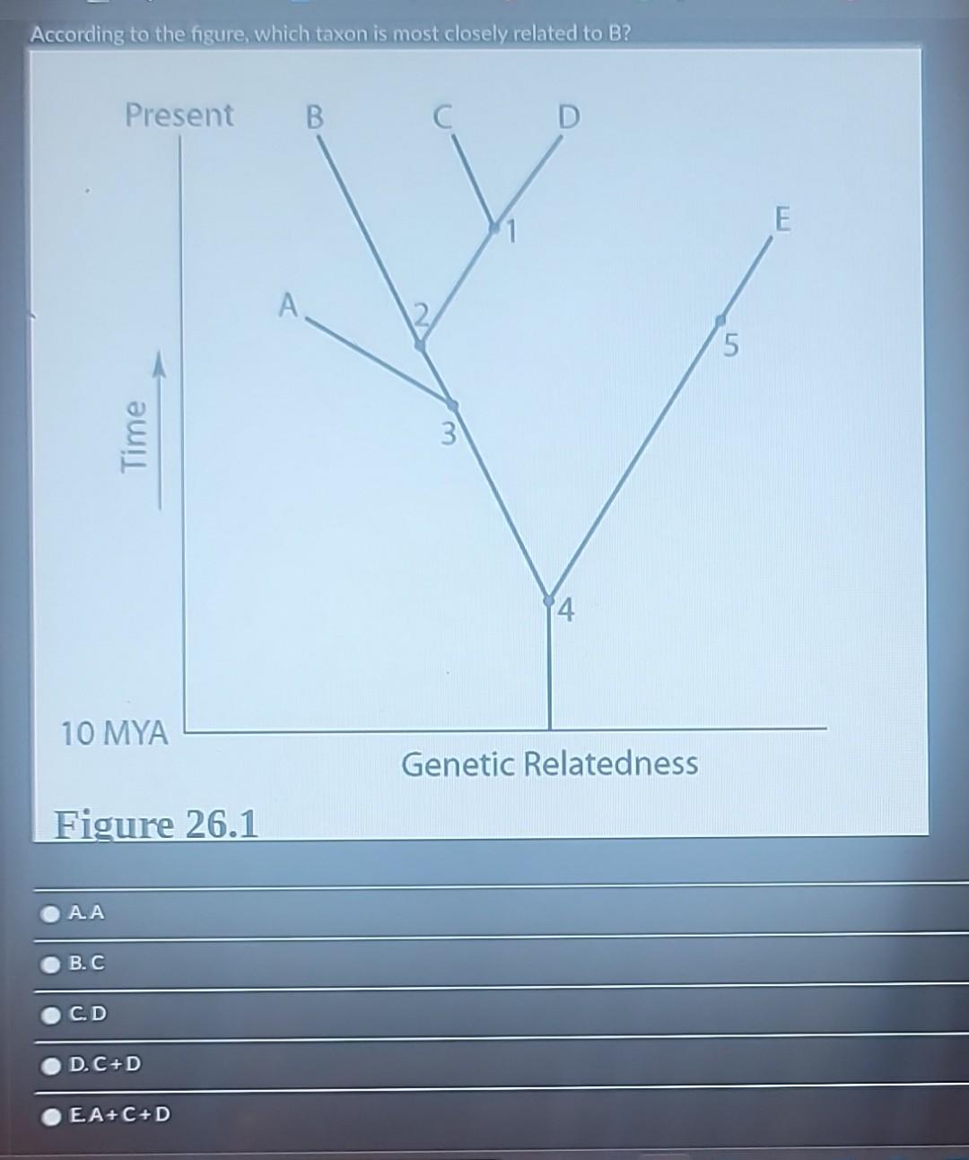 Solved Which of the cladograms, showing evolutionary | Chegg.com Solved Which of the cladograms, showing evolutionary | Chegg.com