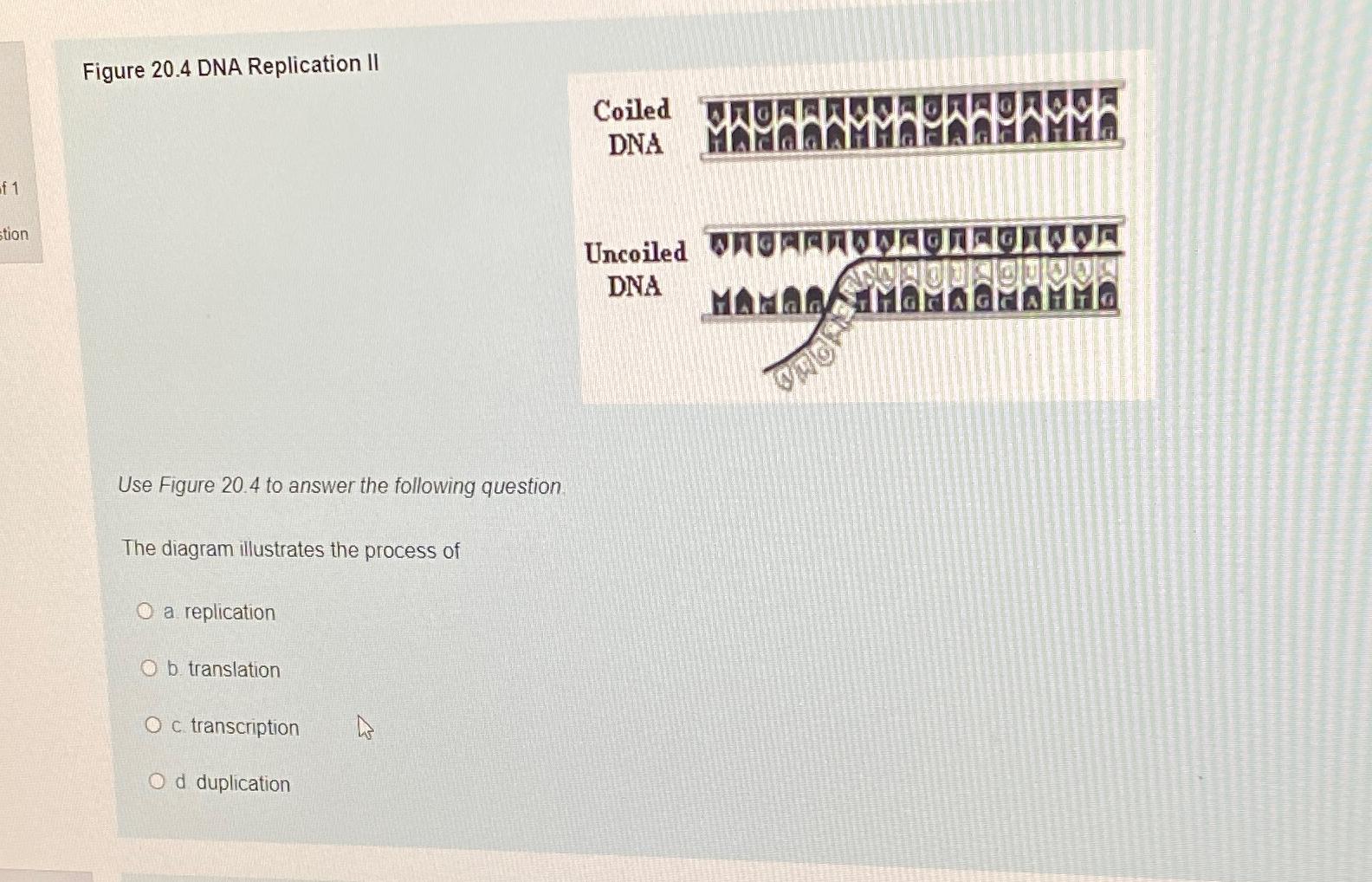 Solved Figure 20.4 ﻿DNA Replication IIUse Figure 20.4 ﻿to | Chegg.com