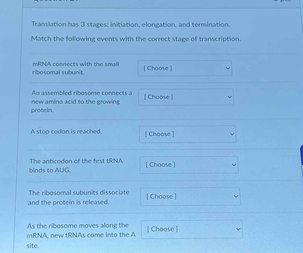 Solved Translation has 3 ﻿stages: initiation, elongation, | Chegg.com