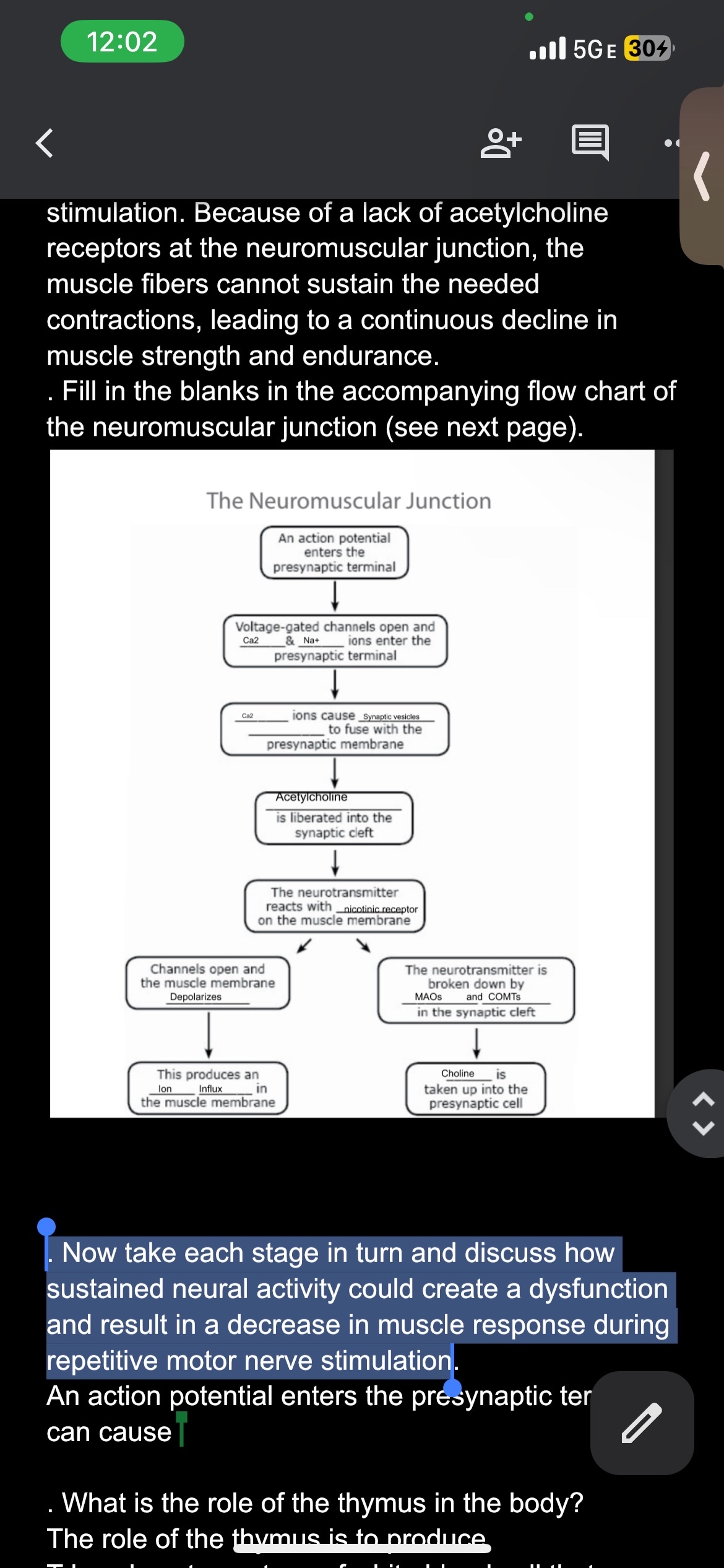 Solved all 5G E 3040+stimulation. Because of a lack of | Chegg.com