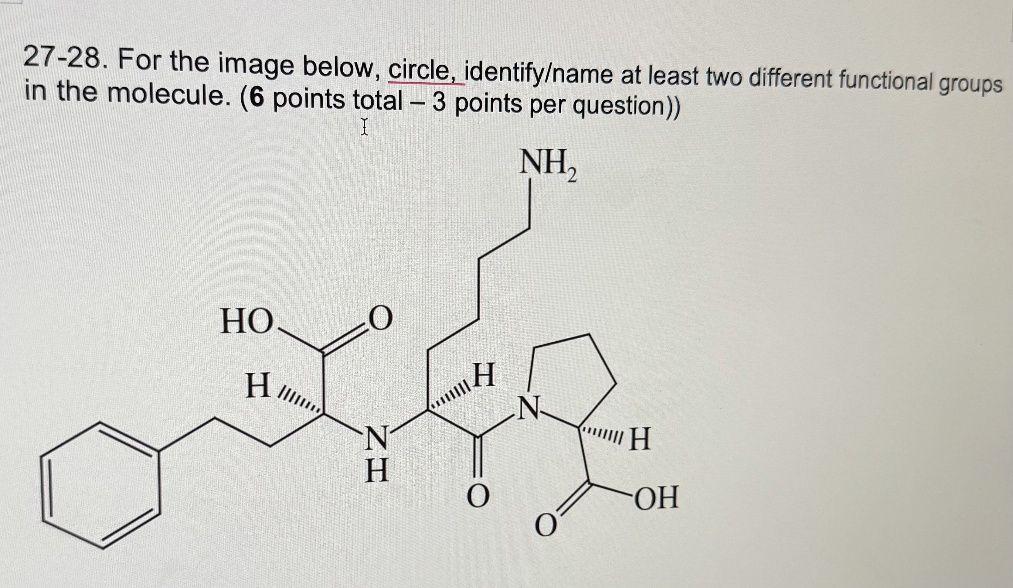 Solved 27-28. ﻿For the image below, circle, identify/name at | Chegg.com