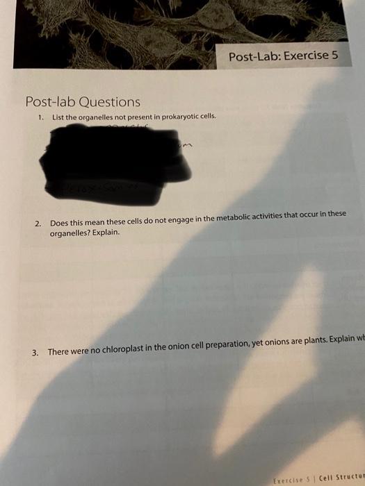 Solved Post-Lab: Exercise 5 Post-lab Questions List the | Chegg.com