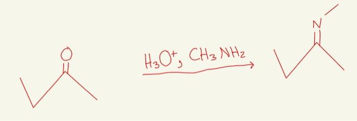 Solved H₃O+, CH3NH₂ w | Chegg.com
