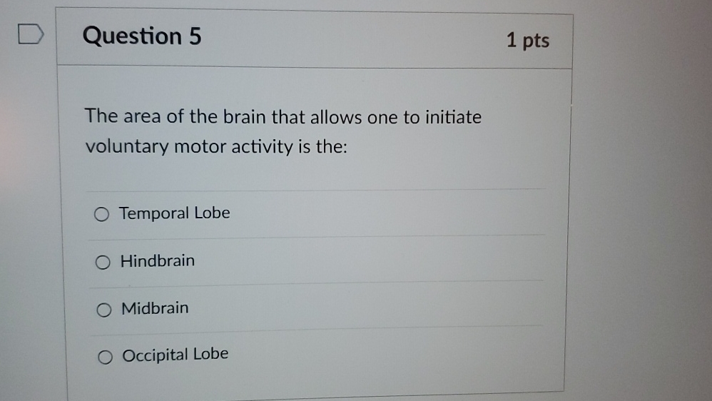 Solved Question 51 ﻿ptsThe area of the brain that allows one | Chegg.com