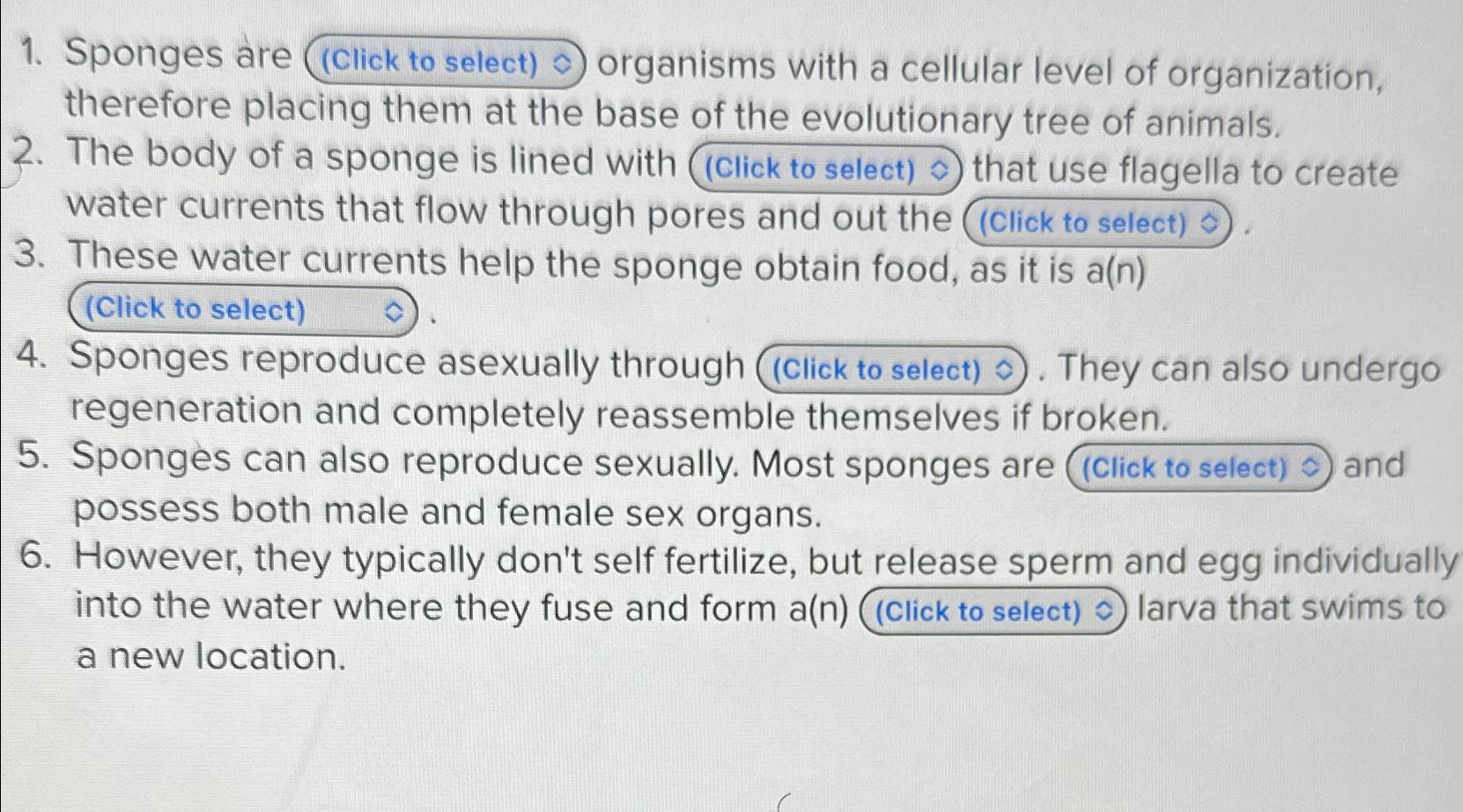 Solved Sponges are ( (Click to select) 0 ﻿organisms with a | Chegg.com