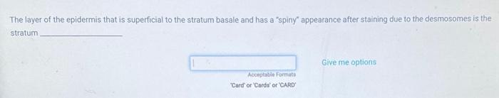 Solved The layer of the epidermis that is superficial to the | Chegg.com
