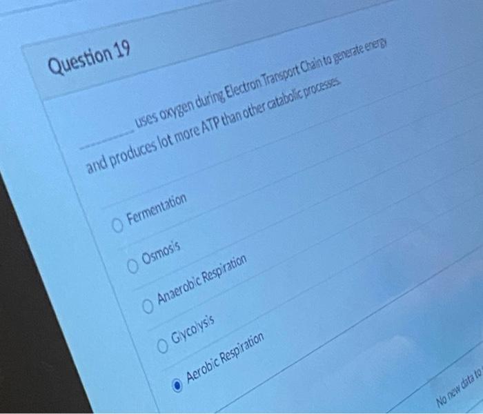 Solved 1 Pts Question 15 Catalase Has As A Metallic Cofactor 1978