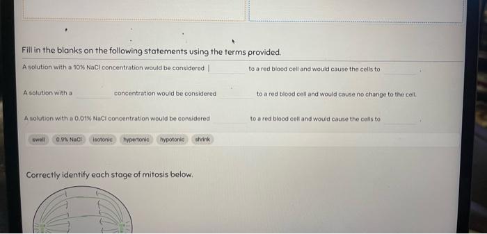 Solved Fill in the blanks on the following statements using | Chegg.com