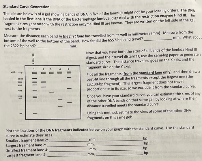 Solved Standard Curve Generation The picture below is of a | Chegg.com
