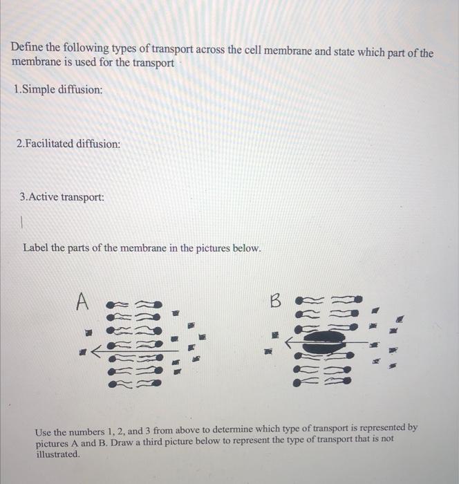 Solved Define the following types of transport across the | Chegg.com