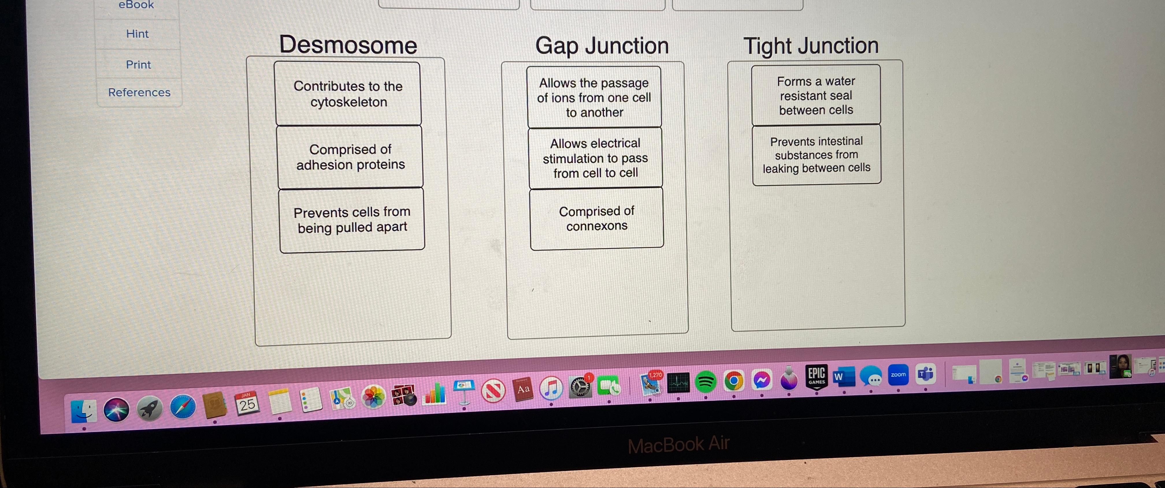 Solved Gap Junction\table[[\table[[Allows the passage],[of | Chegg.com