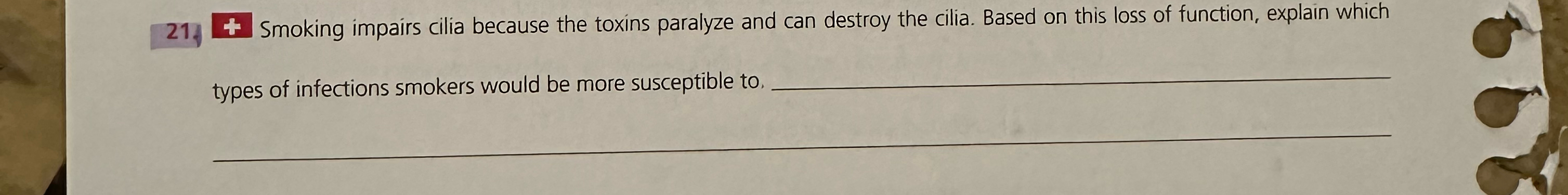 Solved 214 ﻿Smoking impairs cilia because the toxins | Chegg.com