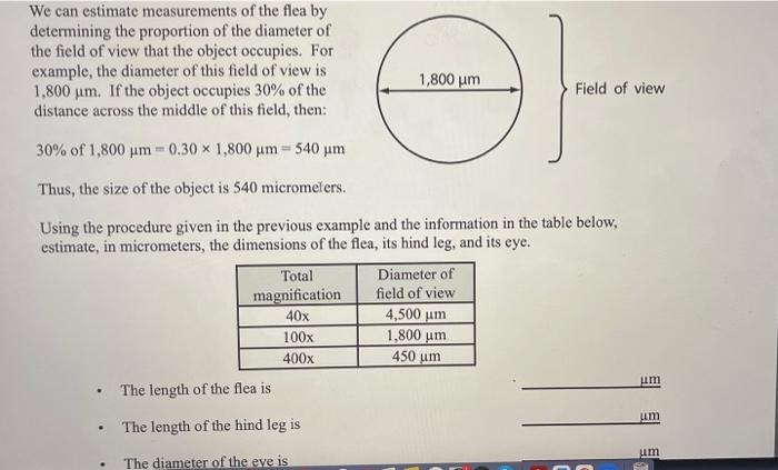 Solved determining the proportion of the diameter of the | Chegg.com