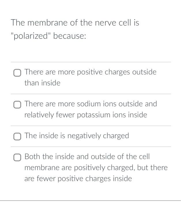 Solved The membrane of the nerve cell is "polarized" | Chegg.com