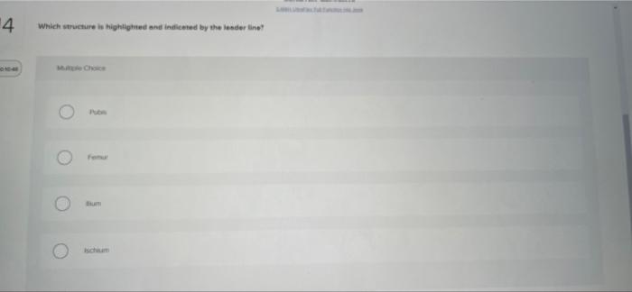 Solved 4 GENOVER Which structure is highlighted and | Chegg.com