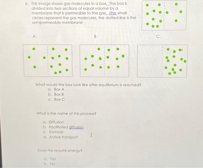 Solved 6. This image shows gas molecules in a box...The box | Chegg.com