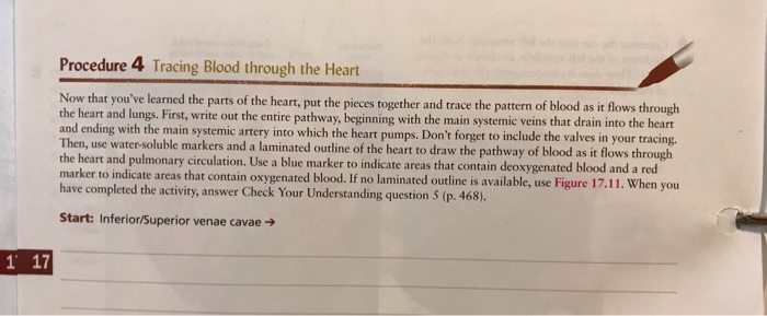 Solved Procedure 4 Tracing Blood through the Heart Now that | Chegg.com