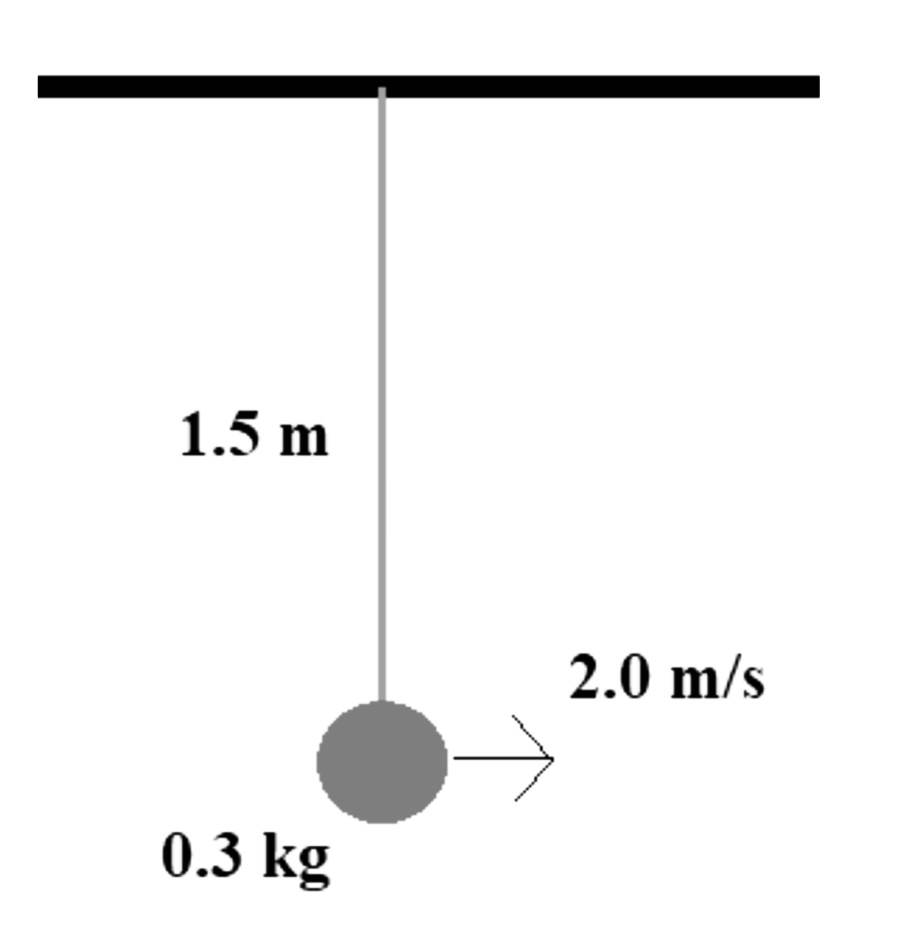 Solved A simple pendulum of length L = 1.5 ﻿m supports a | Chegg.com