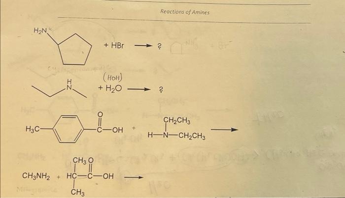 Solved Reactions of Amines H2N + HBO - ? (HOH) + H20 - ? H₃C | Chegg.com