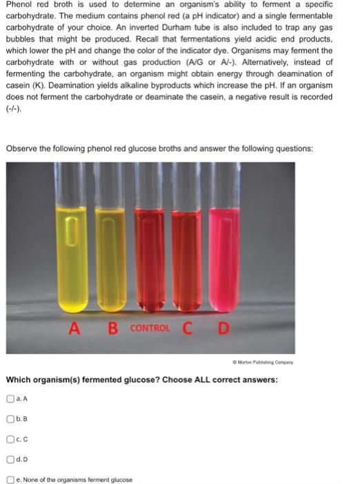 Solved QUESTION 2 Observe the following plate that was | Chegg.com