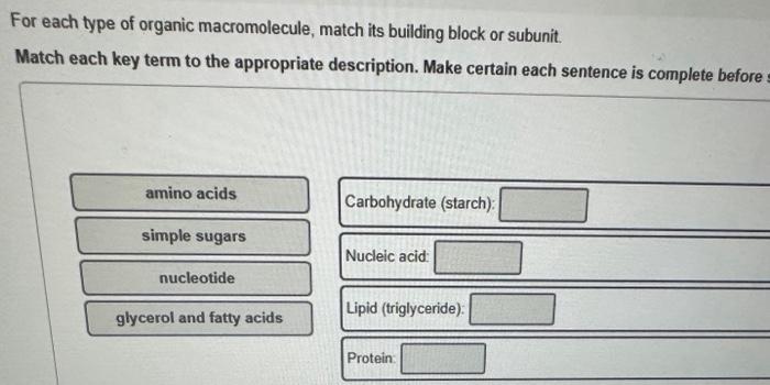 Solved For each type of organic macromolecule, match its | Chegg.com
